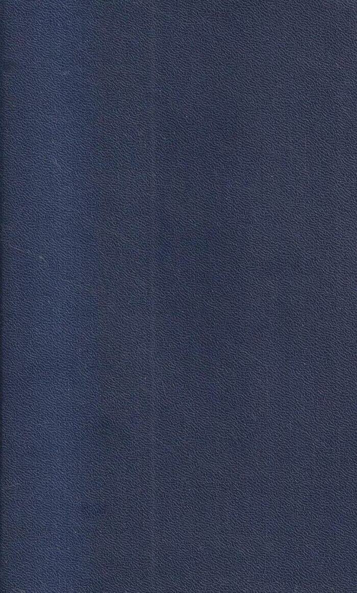 Крыса из нержавеющей стали