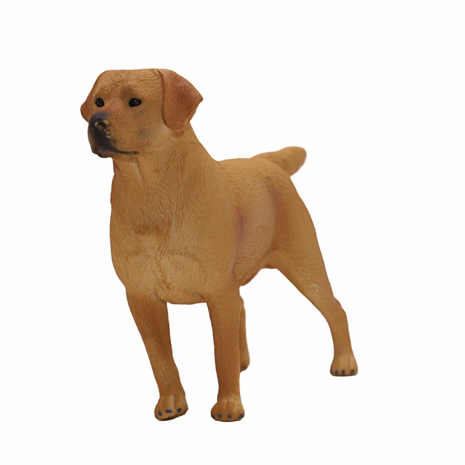 M4653 Фигурка Детское Время - Лабрадор (собака, стоит), серия: Домашние животные