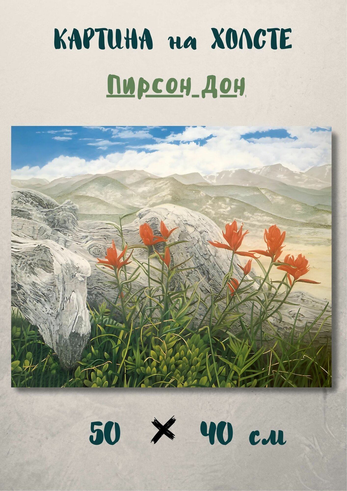 Пирсон Дон "Индейская кисть". Картина 50х40