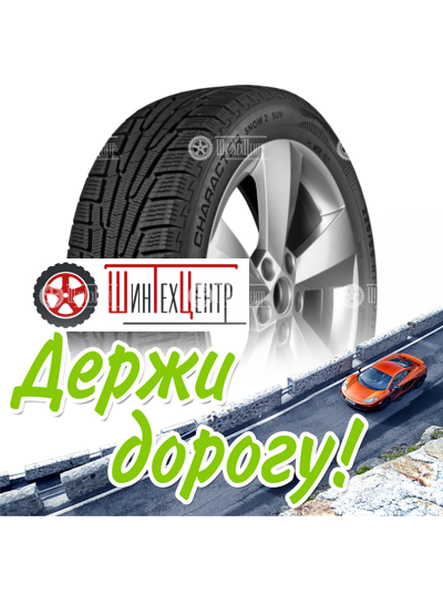 Шина Ikon 225/65R17 106R Xl Character Snow 2 Suv Зимняя для легкого авто и кроссоверов