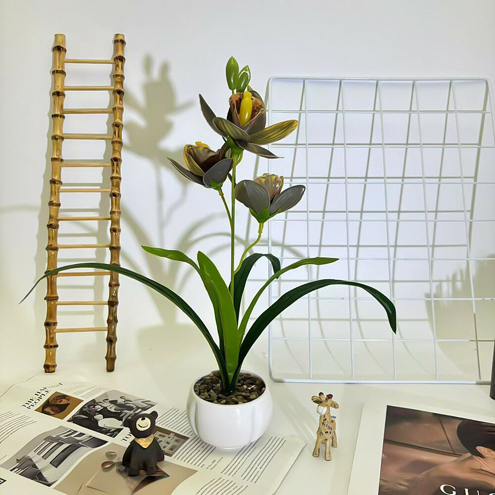 Камень с дождевым цветком для уличных растений с цветочными композициями для фотосъемки и украшения двора коричневый