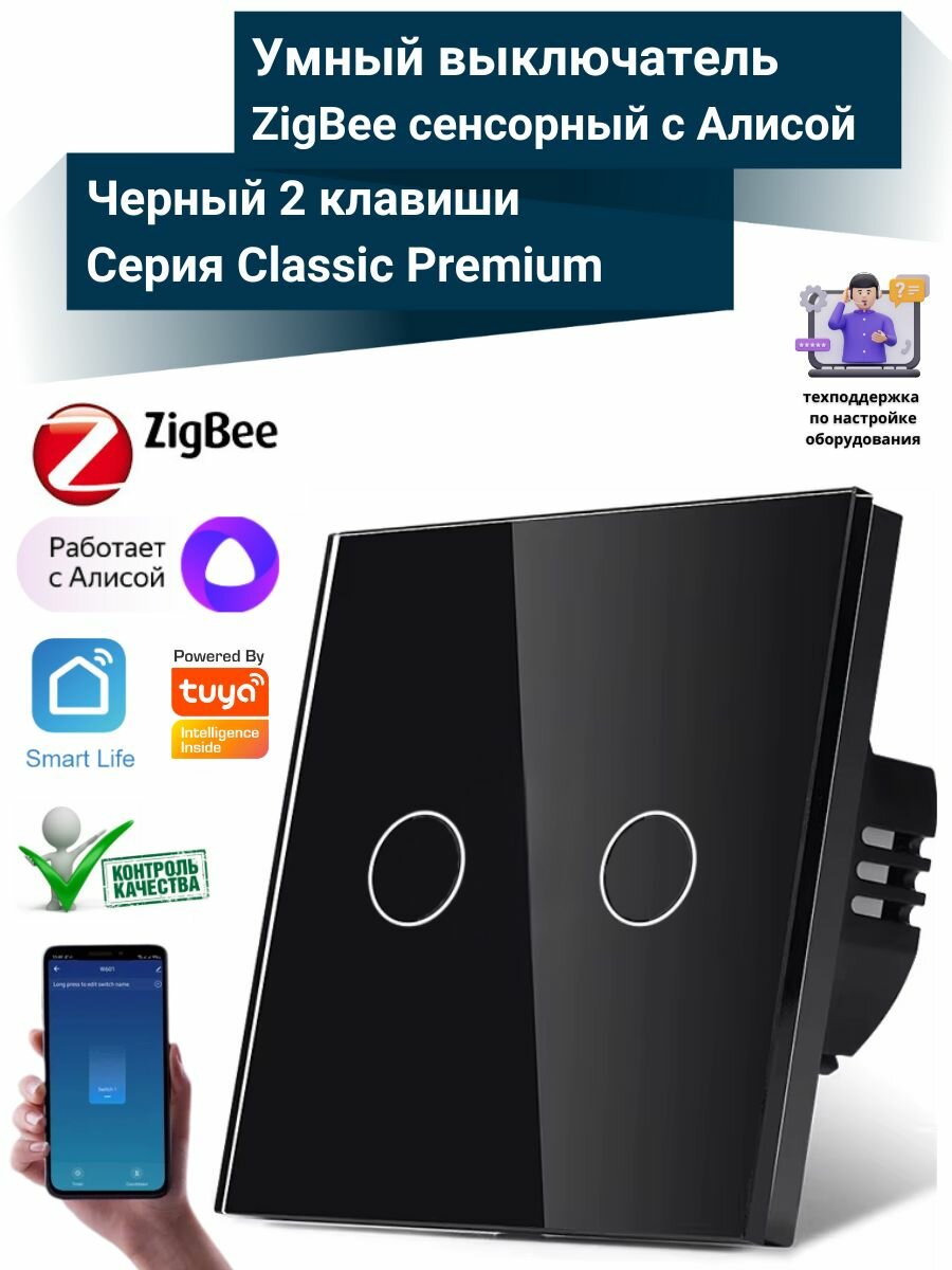 Умный сенсорный Zigbee выключатель c Алисой (Premium) - Черный 2 клавиши