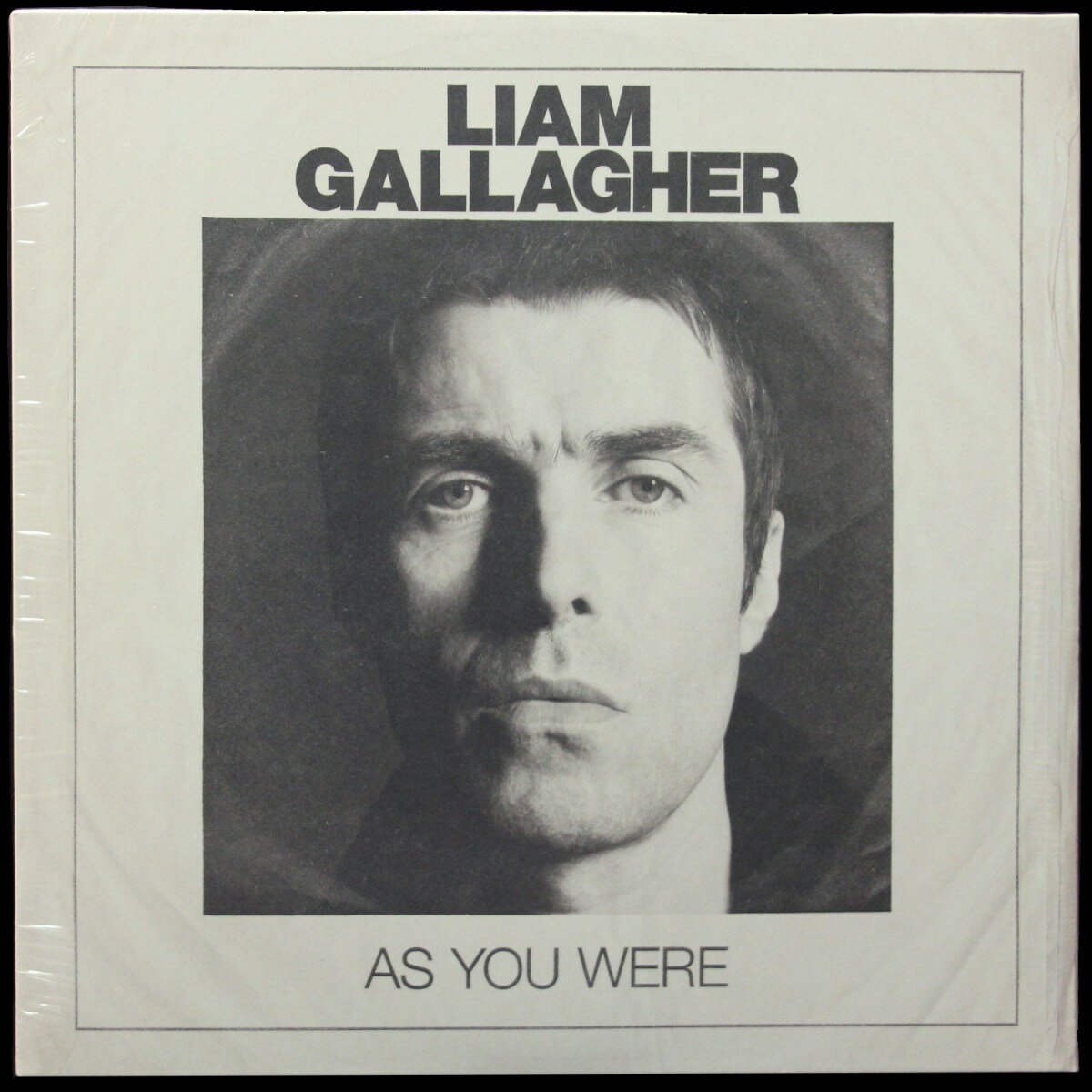 Виниловая пластинка Warner Liam Gallagher – As You Were