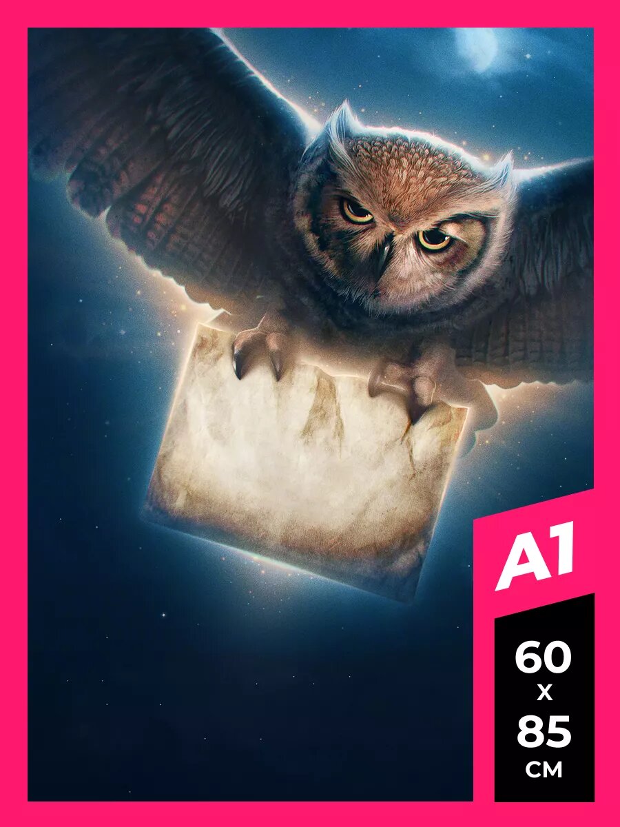 Интерьерный постер плакат Сова Гарри Поттера Сова Бука, матовая фотобумага премиум качества