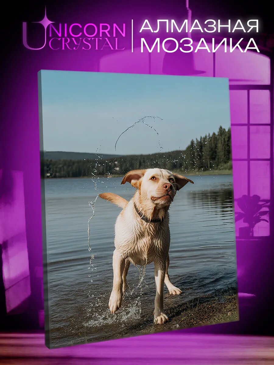 Алмазная мозаика Собака