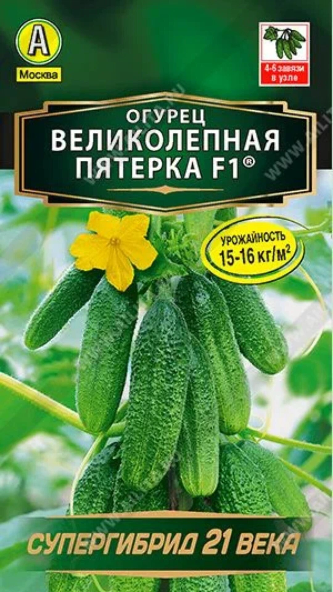 Огурец Великолепная пятерка F1 ( 3 упаковки семян ), супергибрид