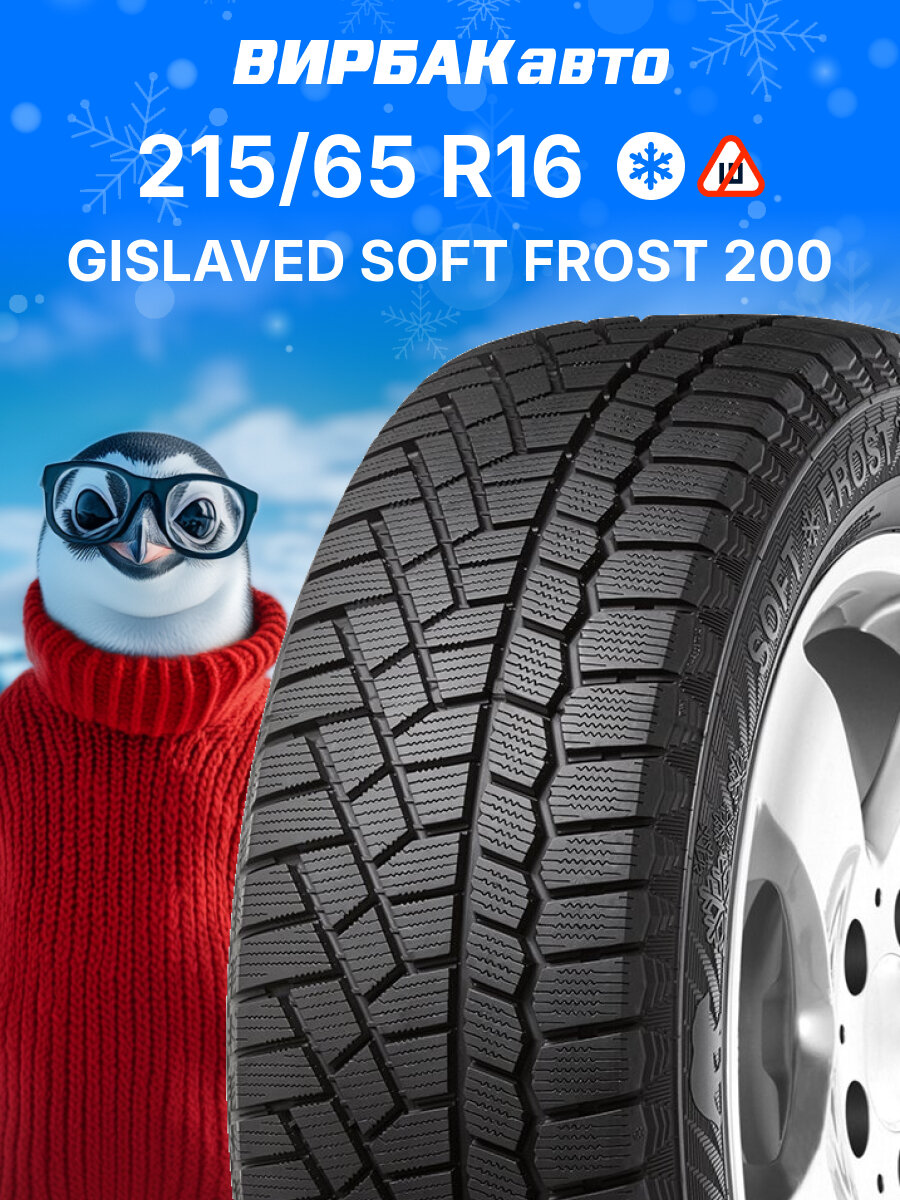 Зимние шины GISLAVED Soft Frost 200 215/65 R16 102T, зимняя автомобильная резина