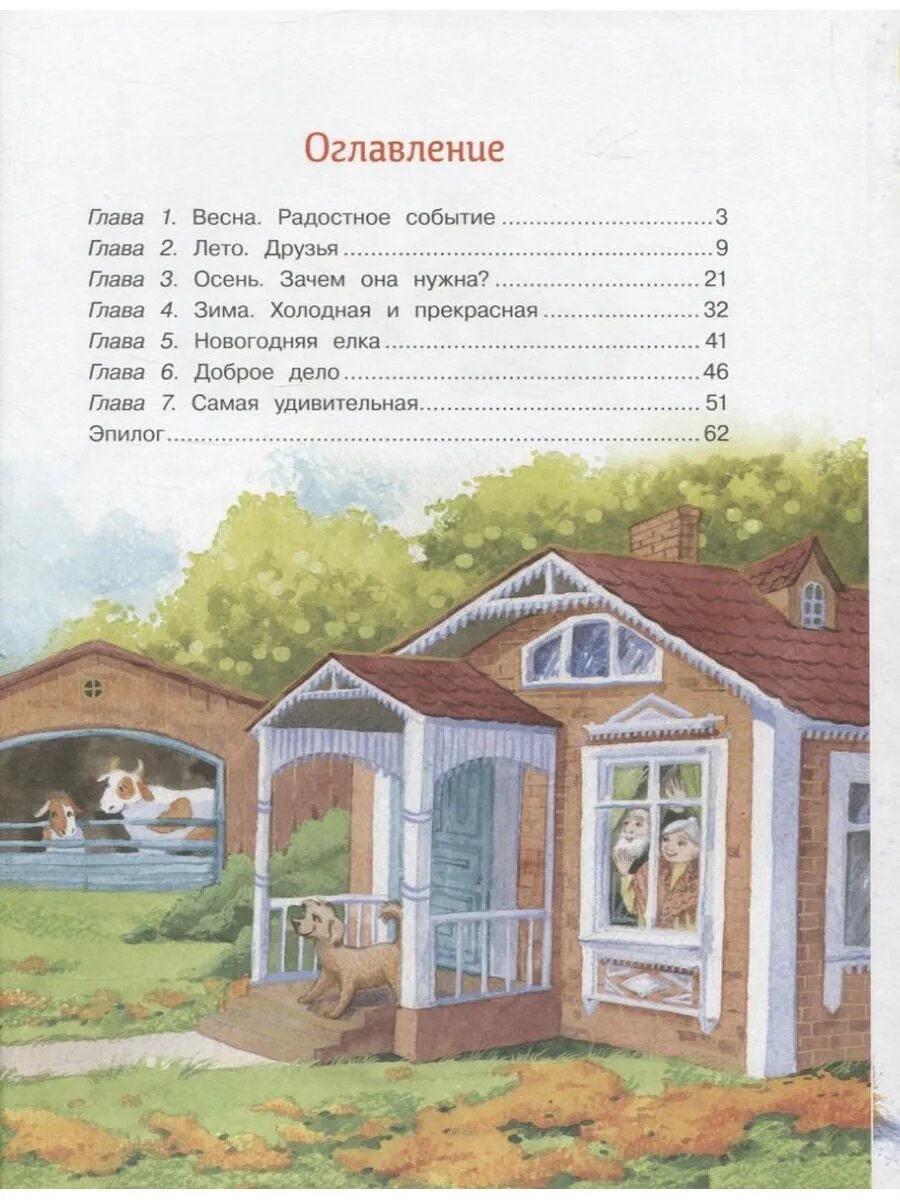 Самое обычное чудо — фото 1