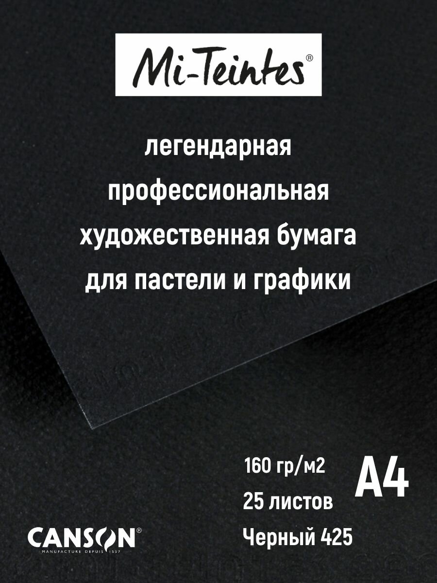 CANSON Mi-Teintes бумага для пастели 160 г/м2, 25 листов A4 21 х 29.7 см, №425 Черный C31036S038