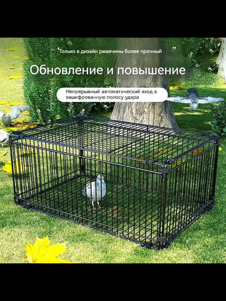 Модернизированная клетка-ловушка для голубей отличается прочностью и долговечностью