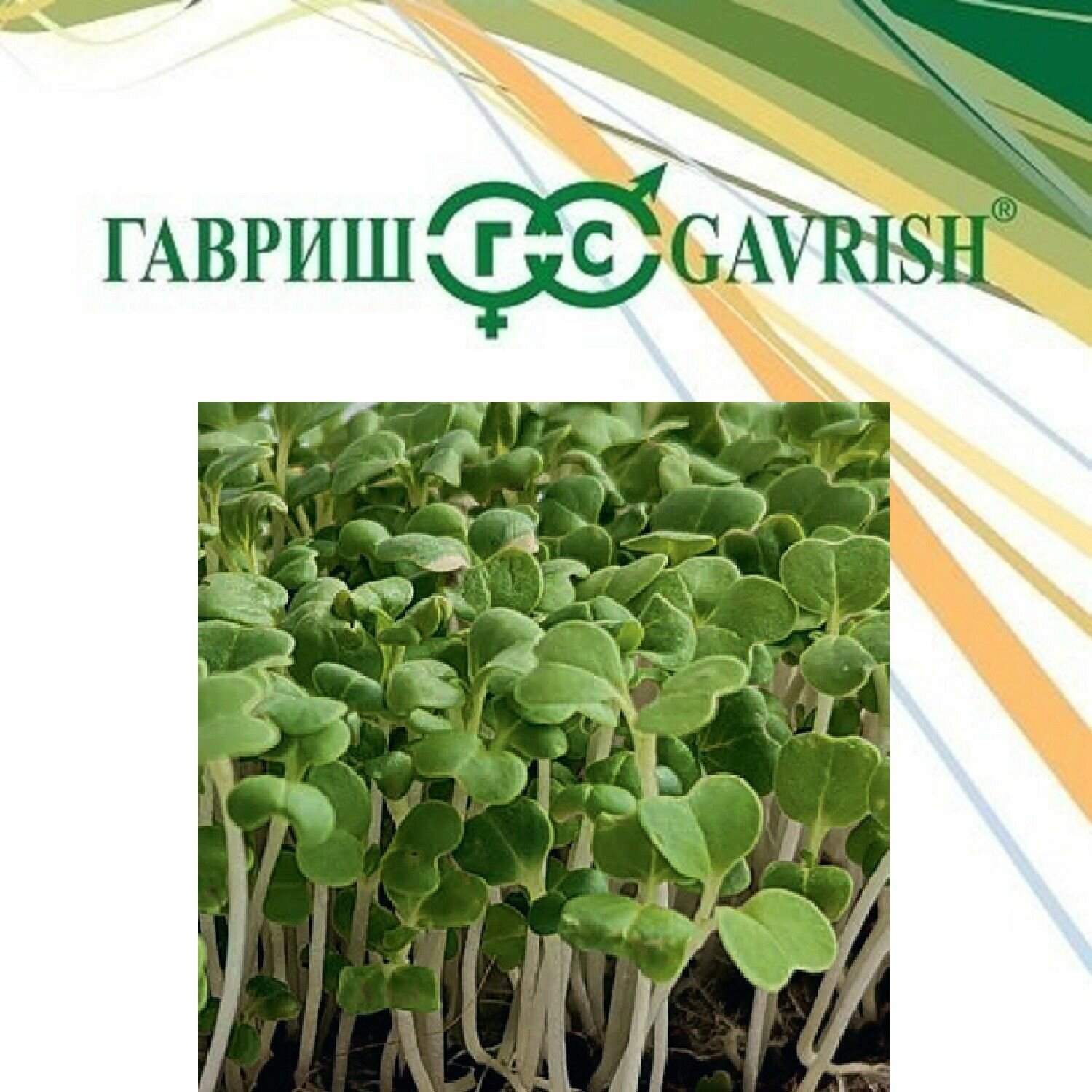 Семена микрозелень Капуста японская, 200г, Гавриш, Фермерское подворье