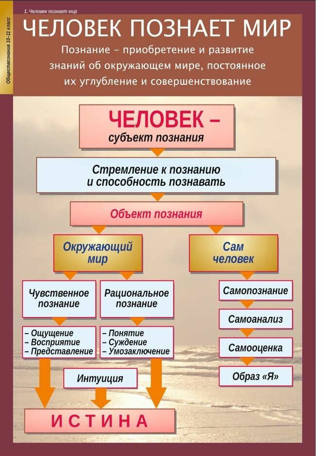 Комплект раздаточных таблиц Обществознание 10-11 классы