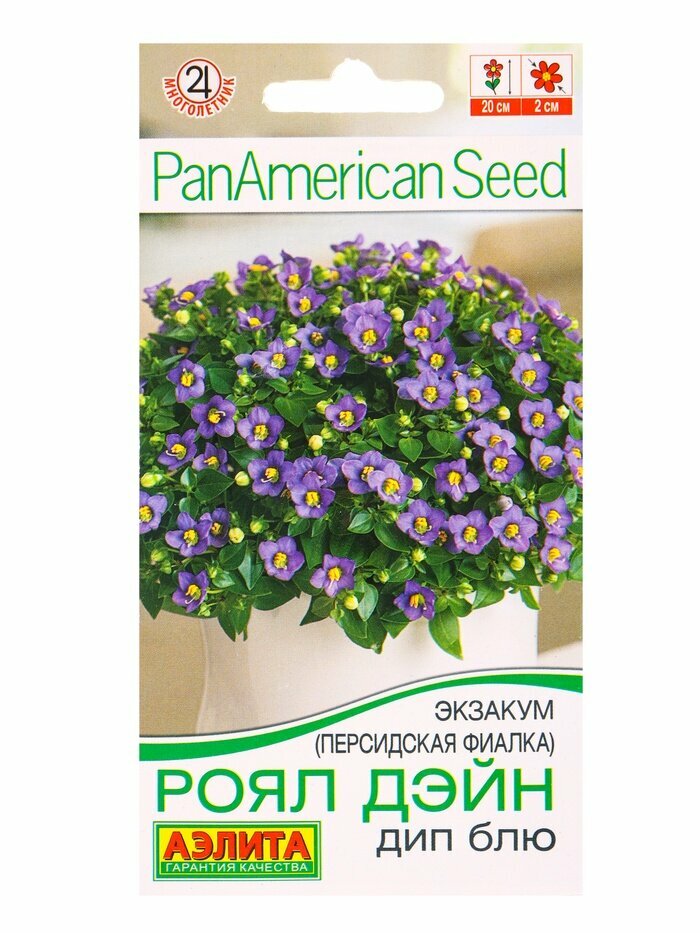 Семена цветов Экзакум (Персидская фиалка) Роял дэйн дип блю (драже) PanAmerican, Ц/П,4 шт. 1094596