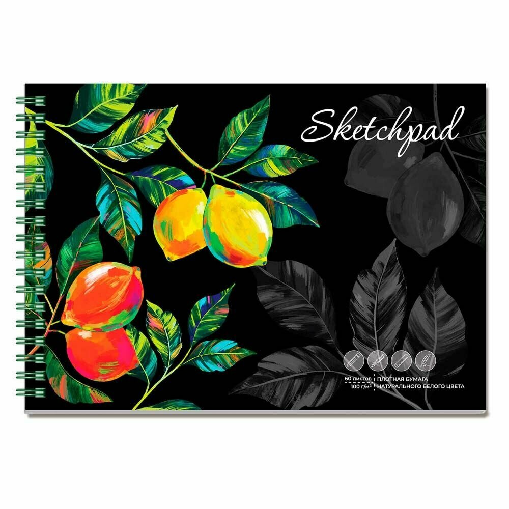 Феникс+ Альбом для рисования, Лимоны, А5 140х200 мм, 60 л