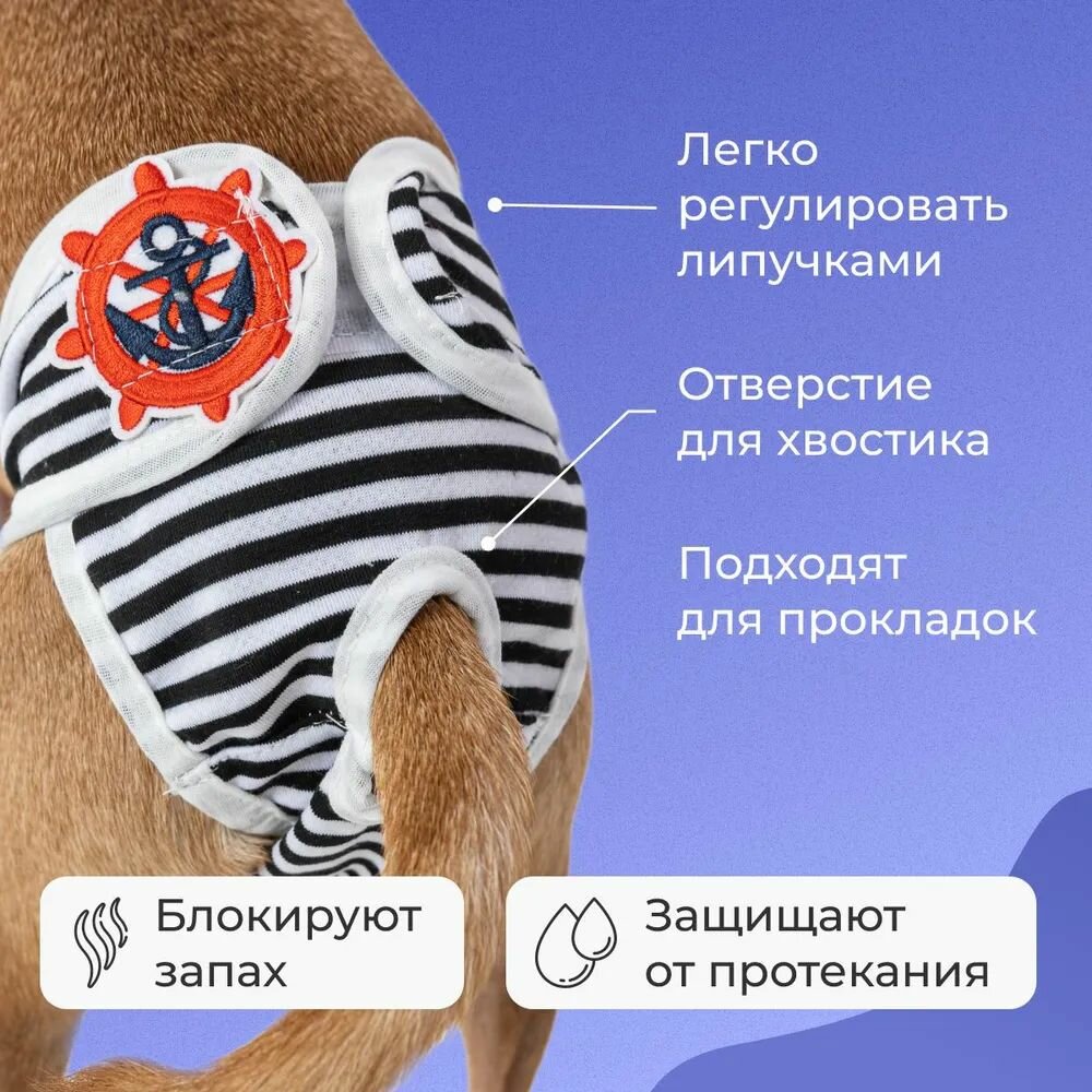 Одежда для животных — фото 1