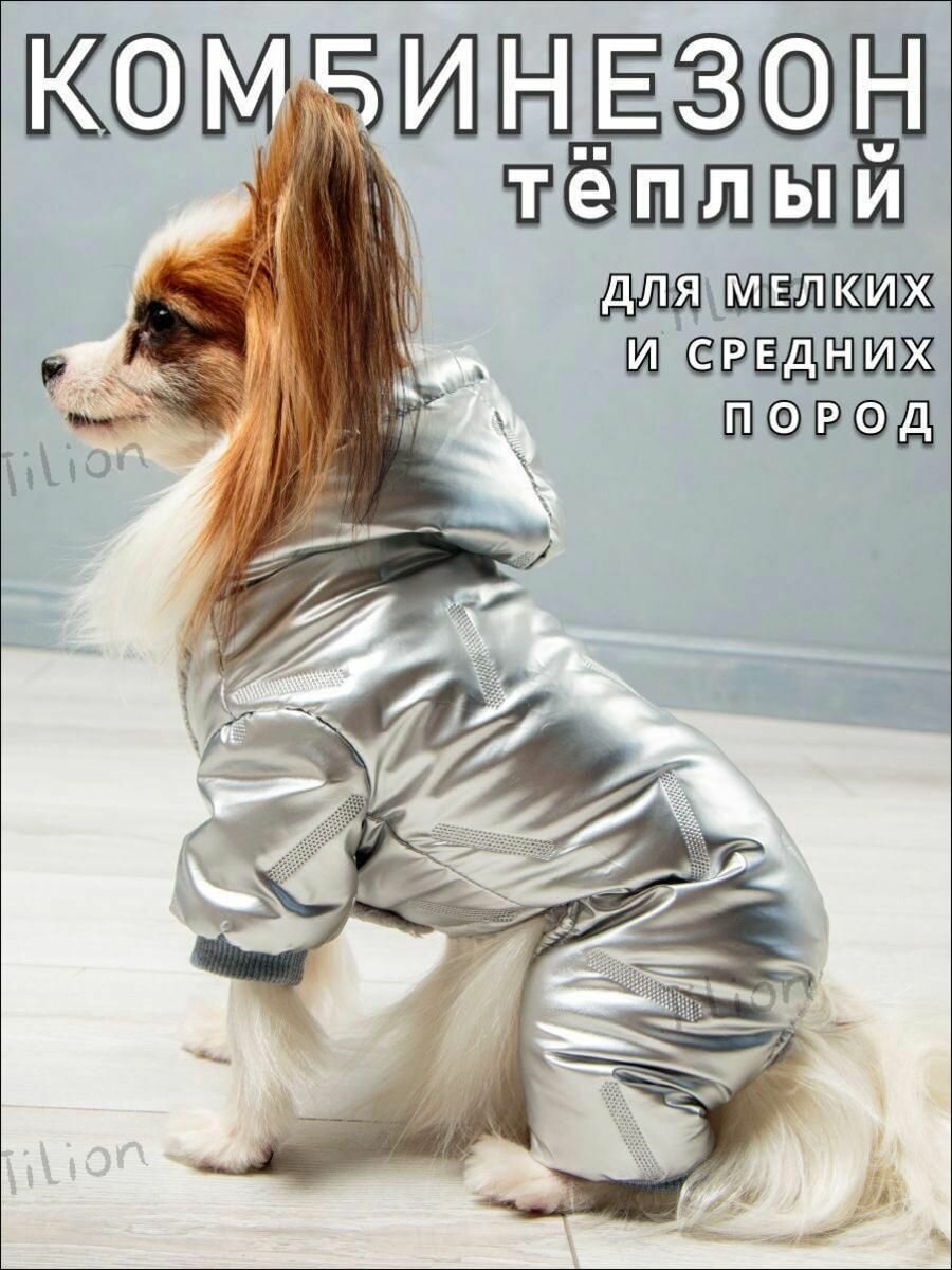 Одежда для животных