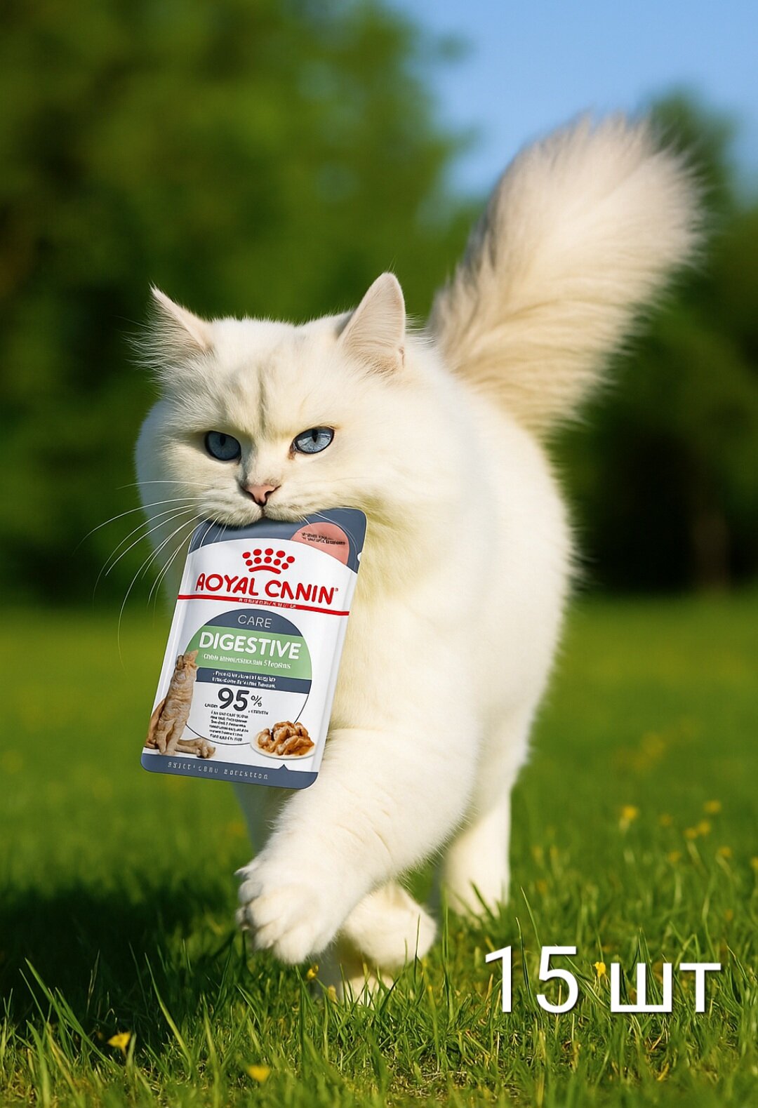 Корм Royal Canin "Digestive Care", для взрослых кошек, кусочки в соусе, 85г, 15шт