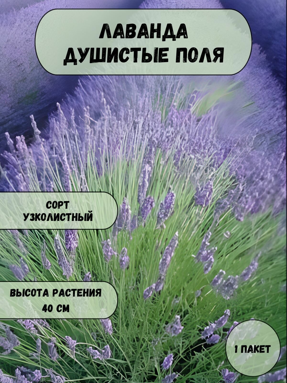 Лаванда Душистые Поля семена 10 шт