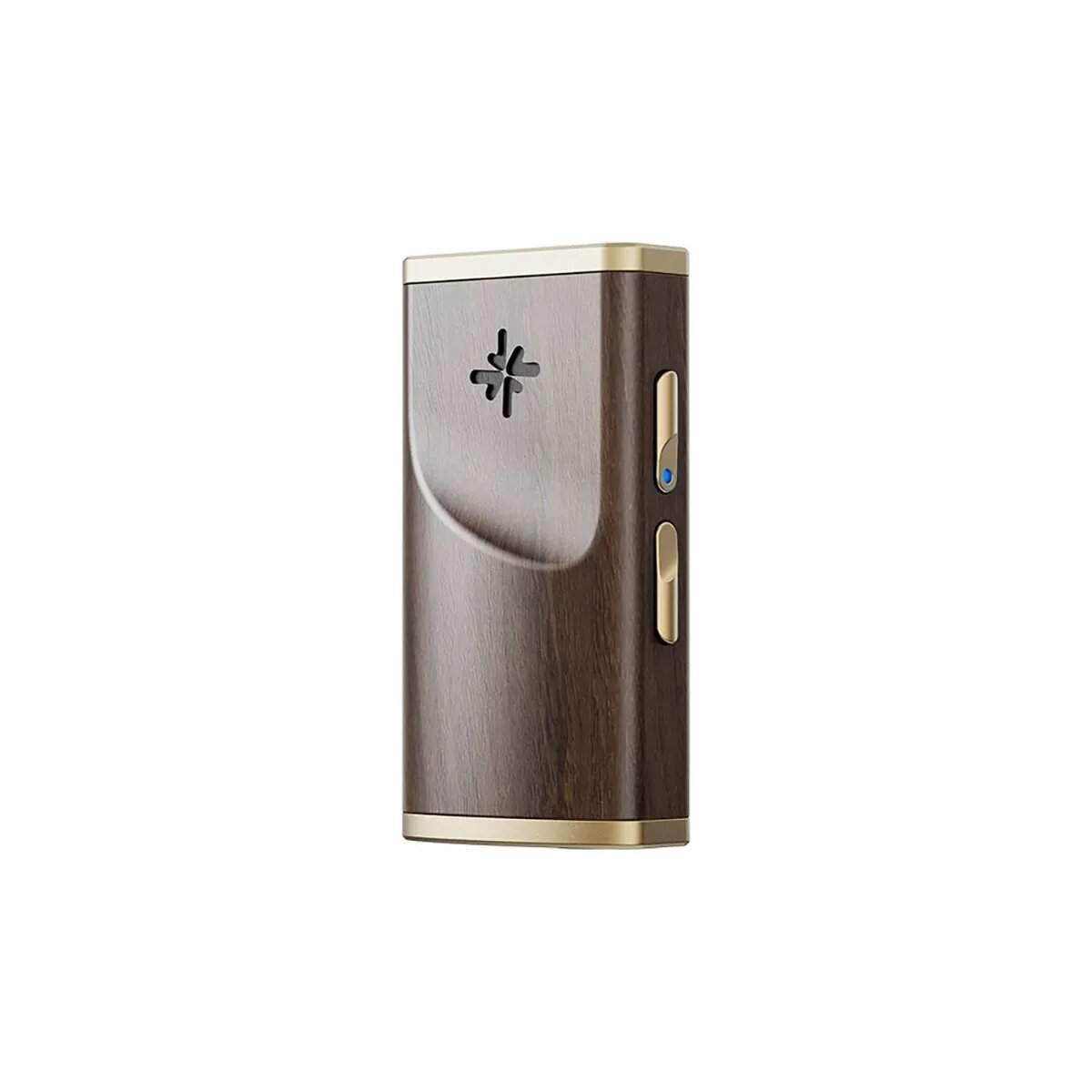 Усилитель для наушников FIIO Snowsky Melody Walnut