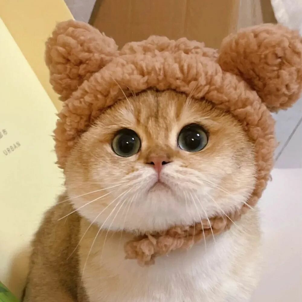 Шапка для животных, уши для кошек, собак