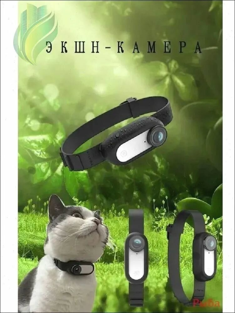 Экшн-камера для животных