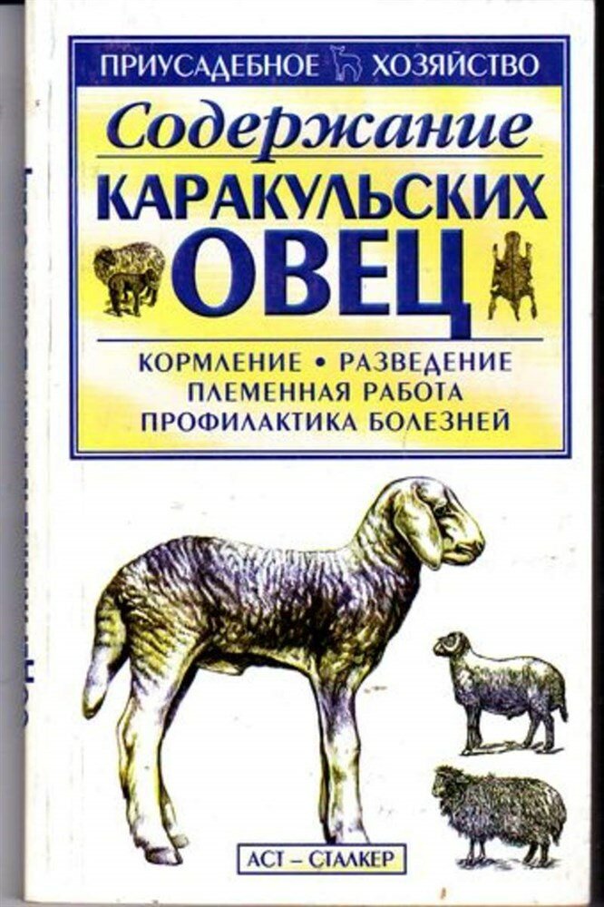 Содержание каракульских овец - 2006