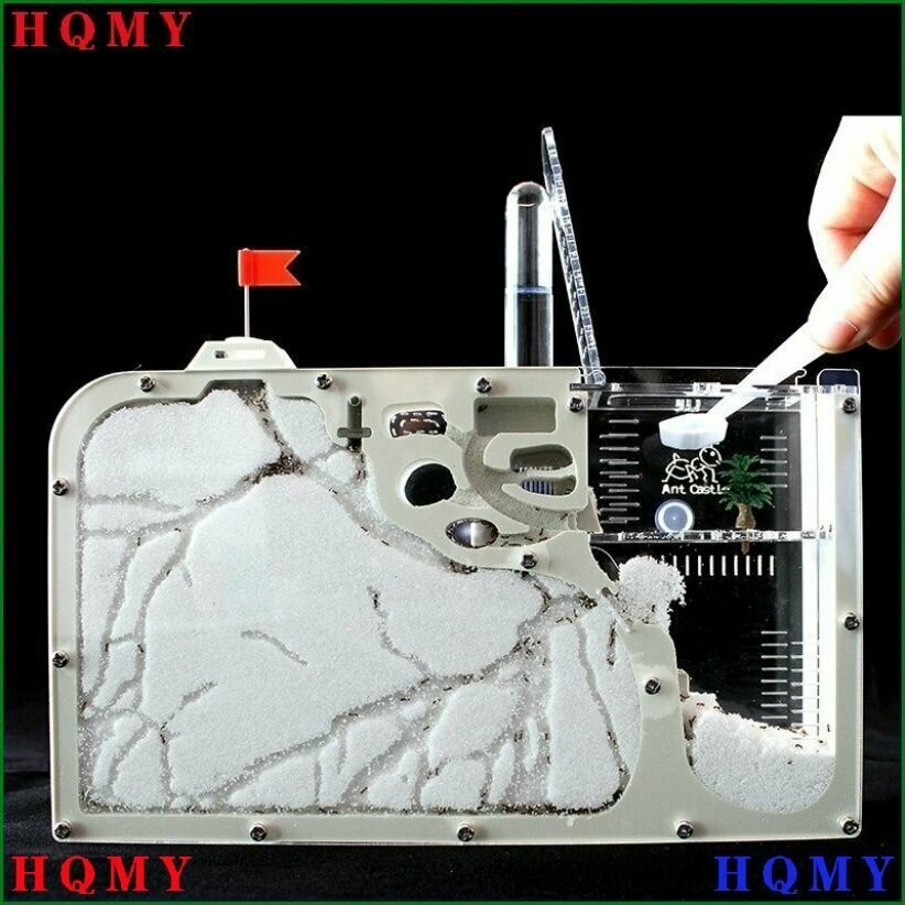 Муравьиная ферма