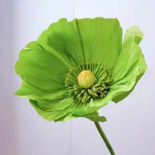 Красивые бумажные цветы, многоцветные маки, гигантские бумажные цветы, искусственные маки, искусственные цветы для оформления сцены