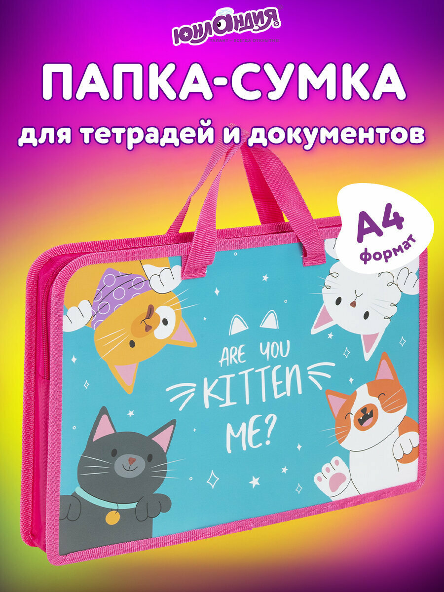 Папка для тетрадей, труда, рисования и изо А4 для девочек на молнии с ручками, канцелярия для школы, 1 отделение пластик 45 мм, Юнландия Cat gang, 272148