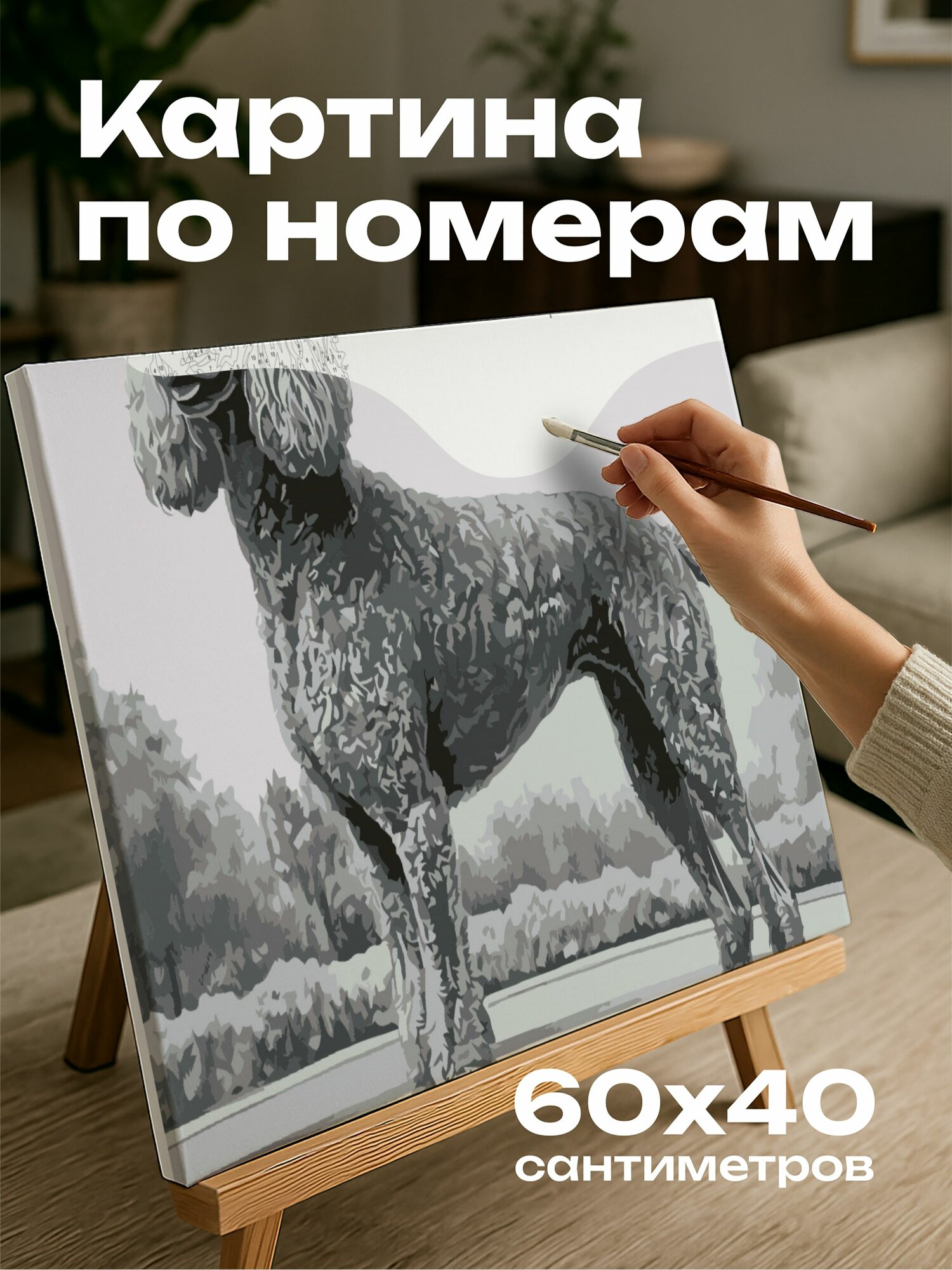 Картина по номерам 60x40 см, пудель, графитовый рисунок, реалистичный, выставочная площадка, элегантное телосложение
