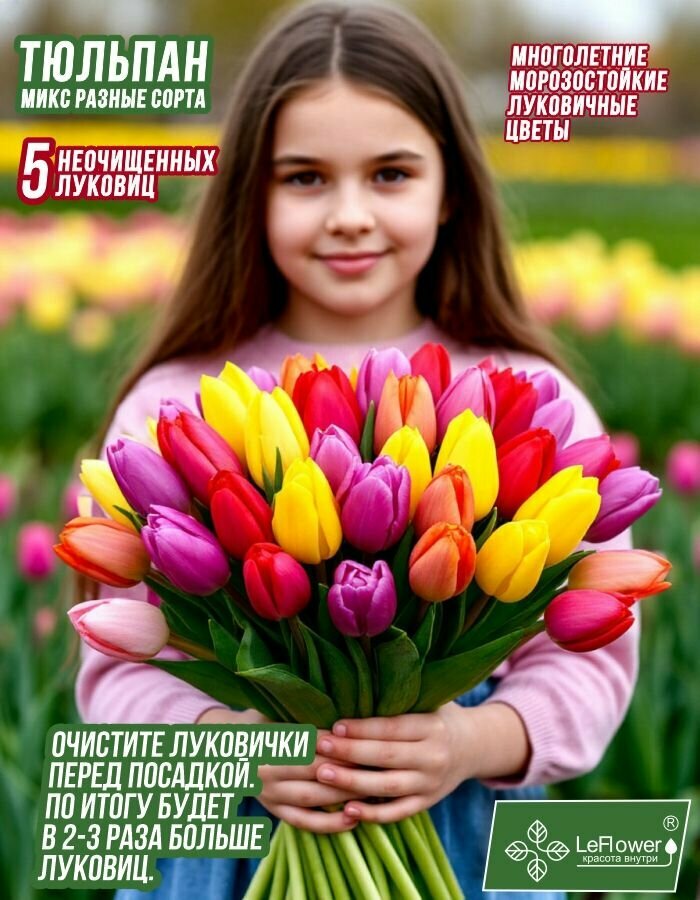 Тюльпан Луковица, Микс сортов 5 шт, неочищенные