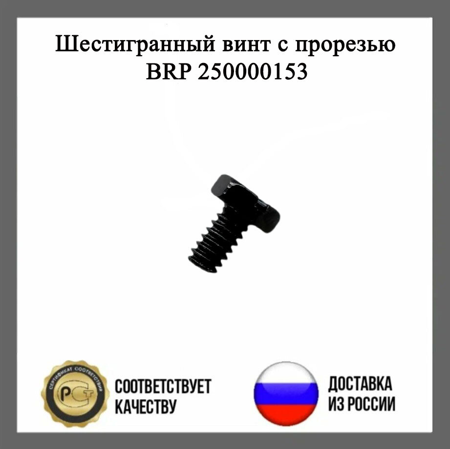 Шестигранный винт с прорезью BRP 250000153