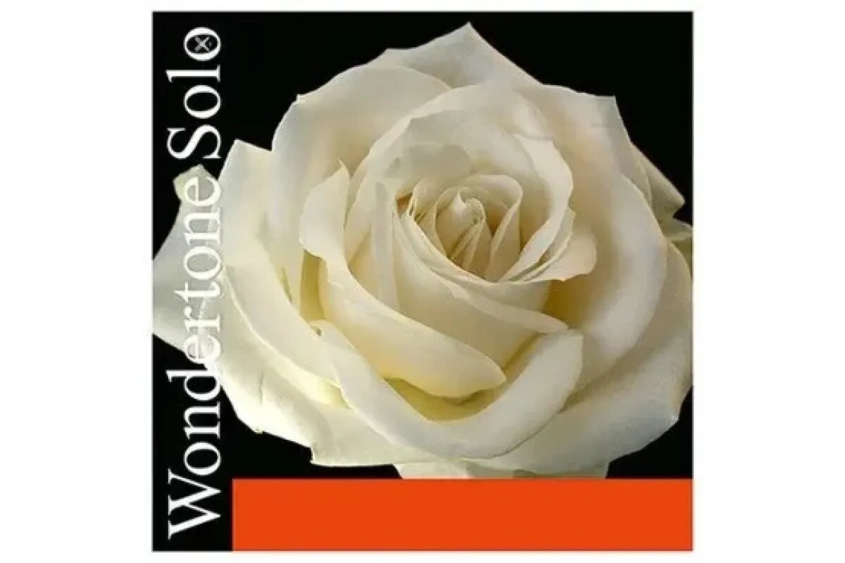 PIRASTRO Wondertone Solo 310321 струна E (Ми) для скрипки 4/4