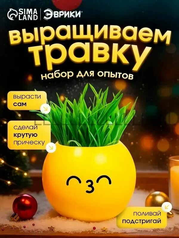 Набор для выращивания, Смайлик: Поцелуй "Выращивание травки", опыты и эксперименты для детей