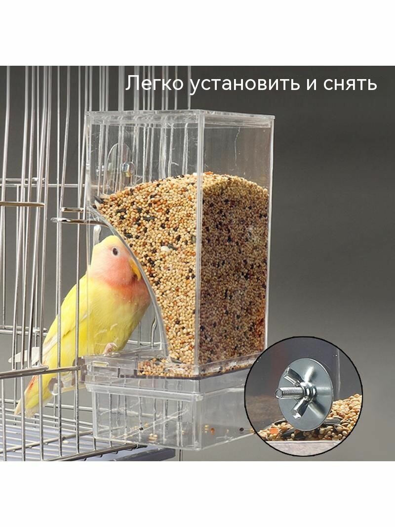 Прозрачный питатель — фото 1