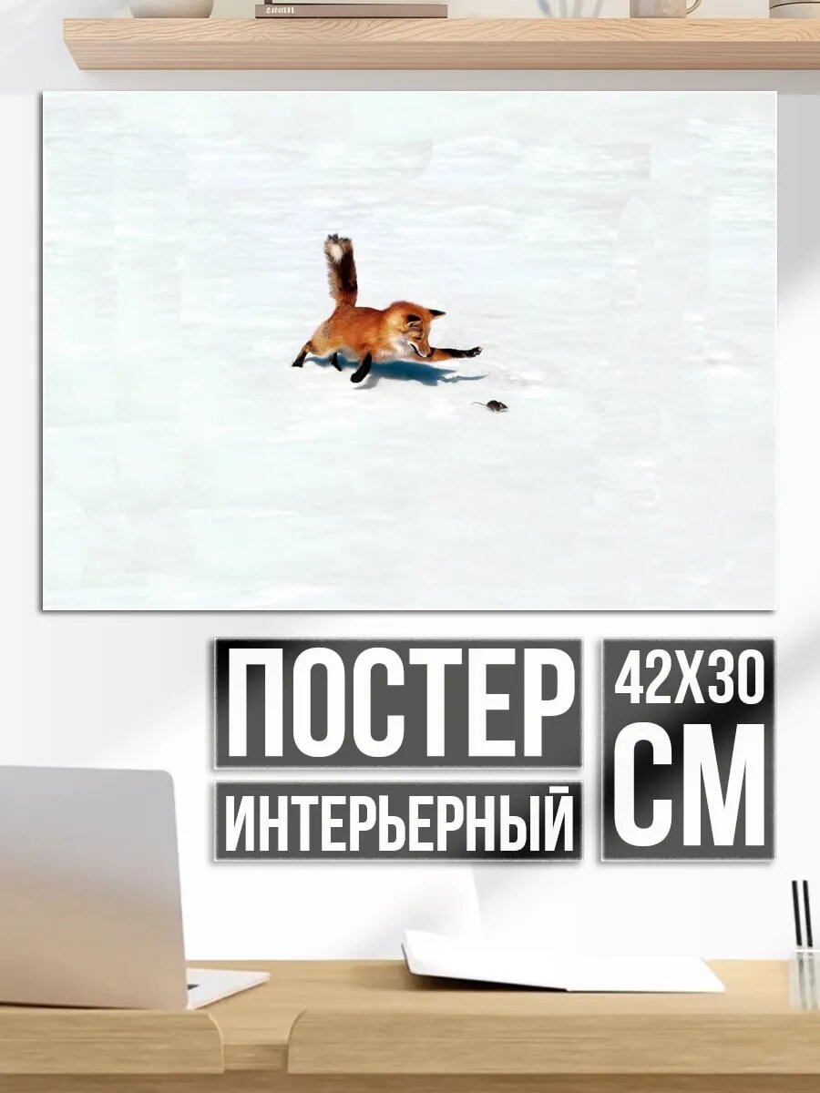 Плакат постер Лиса в снегу