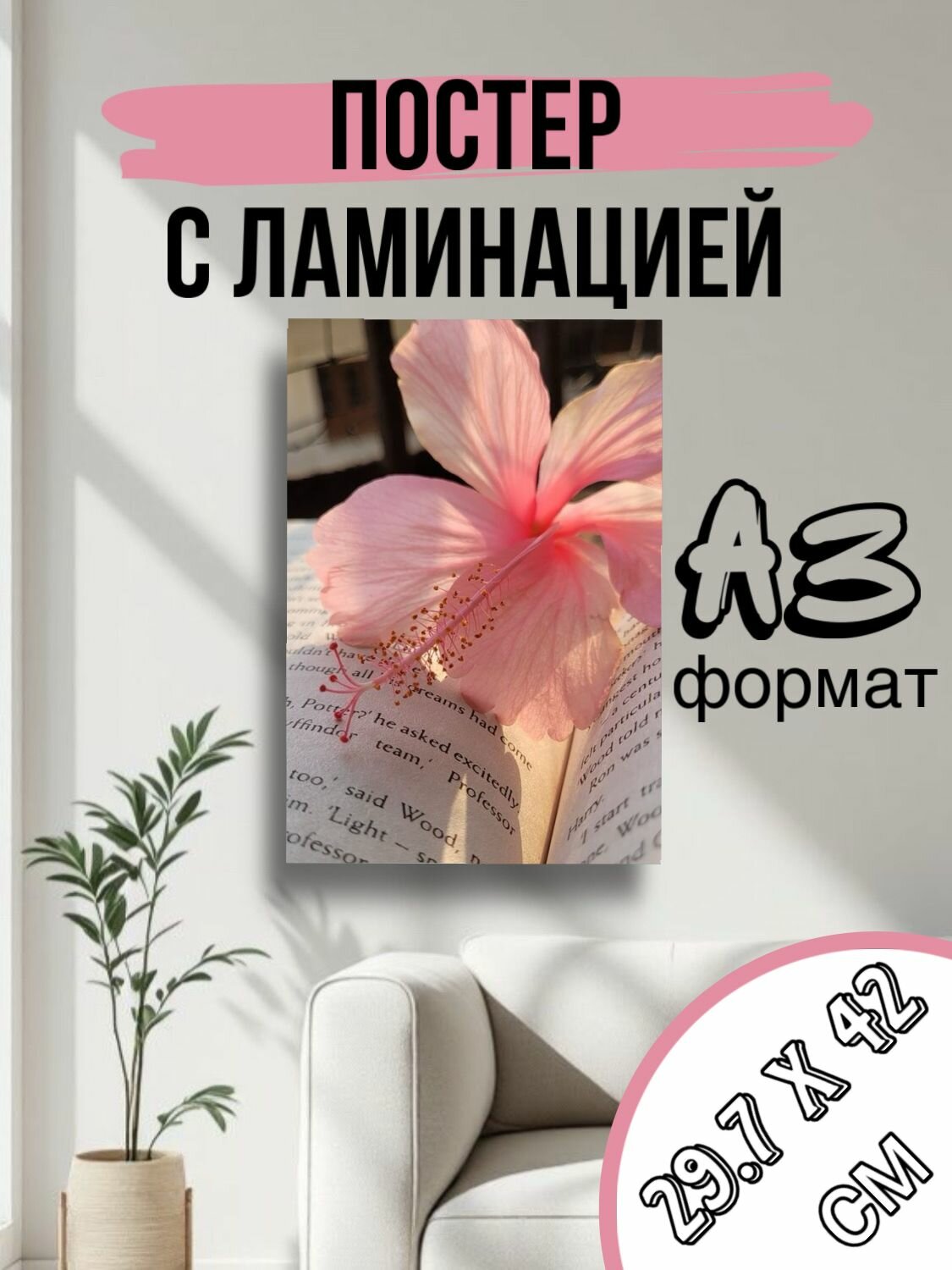 Постер