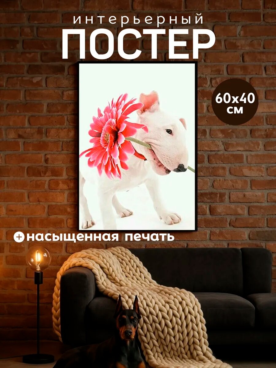 Постеры на стену без рамки 40х60 Щенок