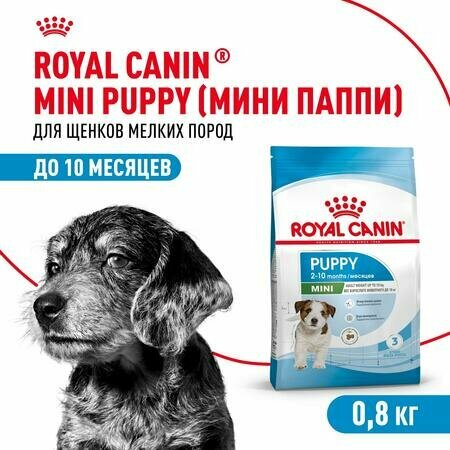 ROYAL CANIN MINI PUPPY 800 г корм сухой для щенков мелких пород в возрасте до 10 месяцев