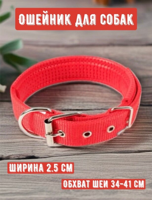 Ошейник для собак всех пород с пряжкой Жужа 2.5/44 см нейлон, кожзам