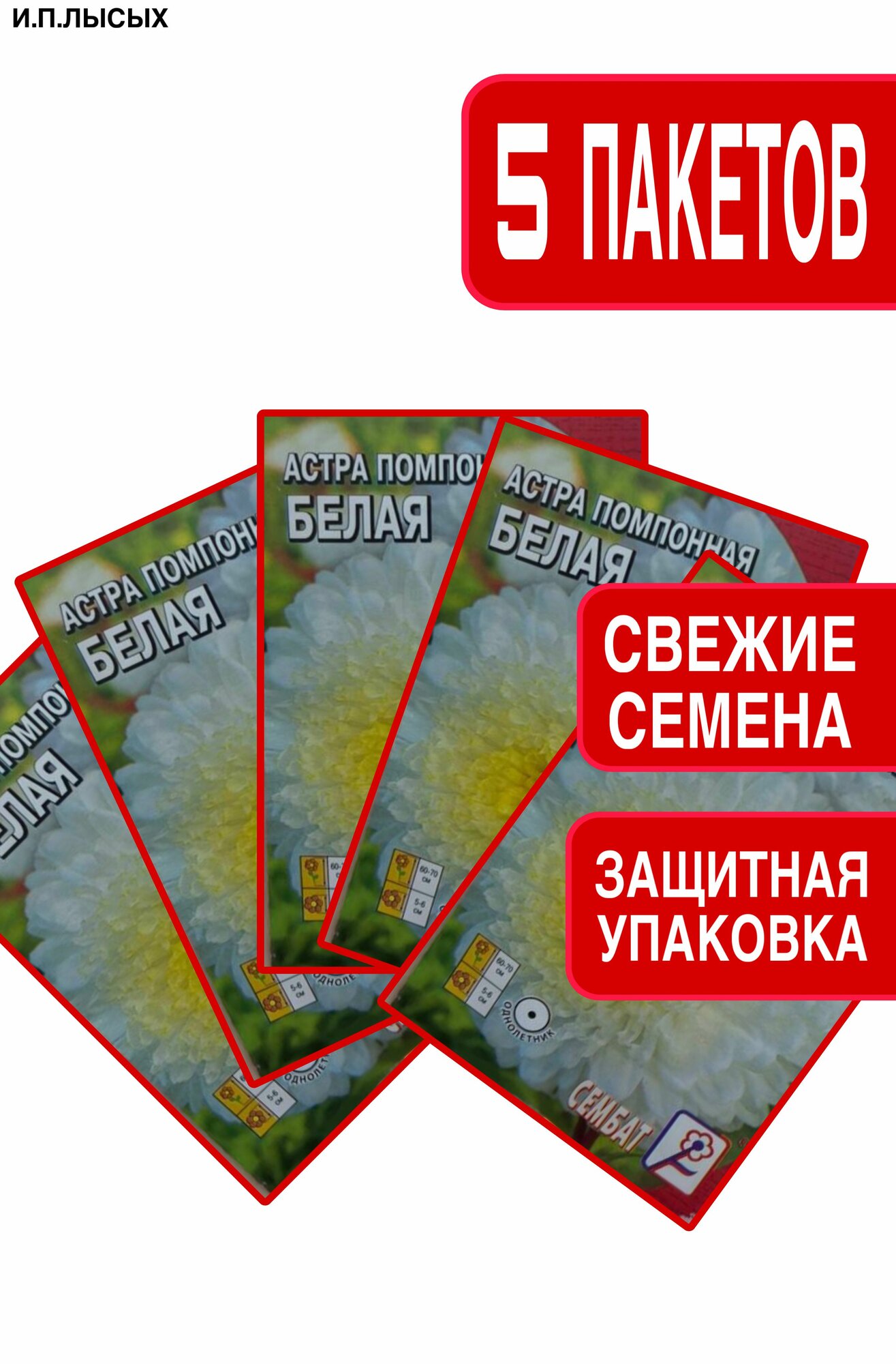 Семена Астра помпонная белая