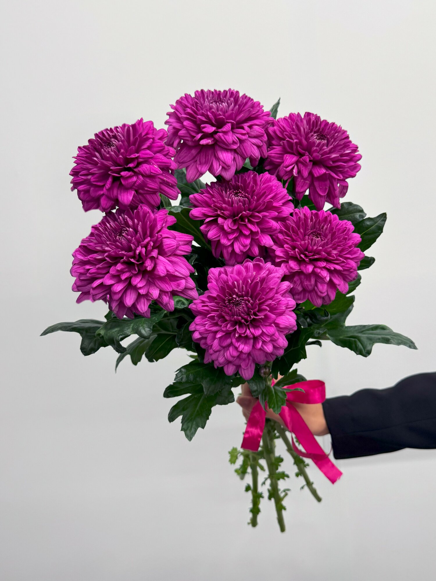 Букет живых цветов, фиолетовый хризантемы 7 шт "Ламира" , ФЛАУ СТОР