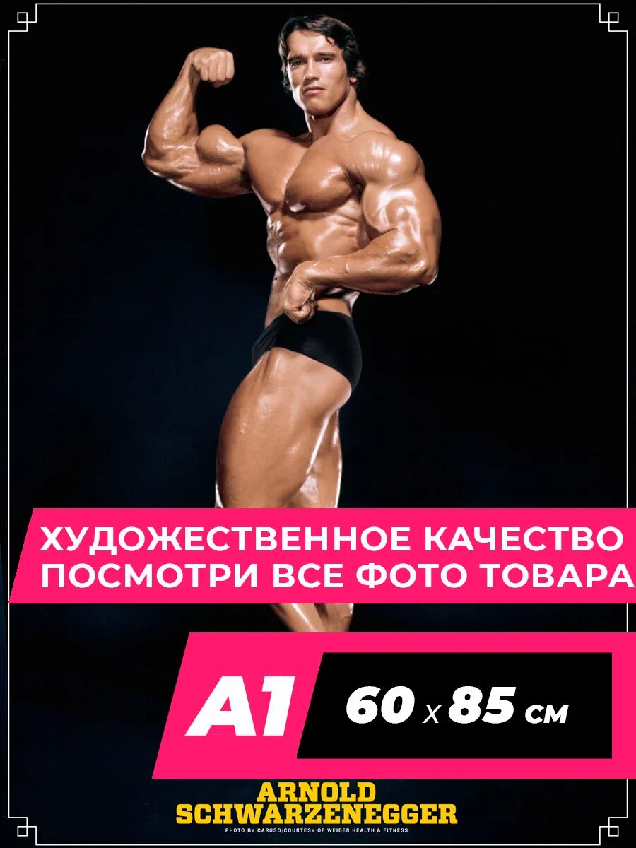 Постер Шварценеггер Арнольд на стену 3 A1, матовая фотобумага премиум качества