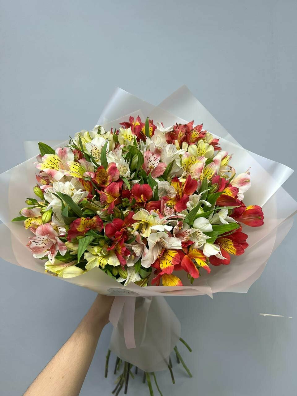 Живые цветы Букет из альстрамерий (25шт) в стильной упаковке