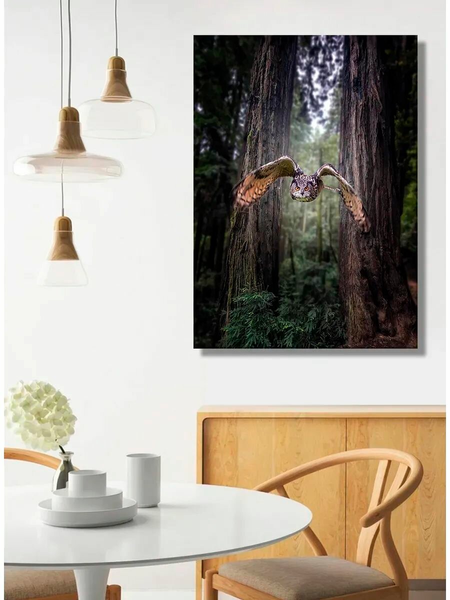 Картина "Сова в полете", модульная 30х40см 1шт.