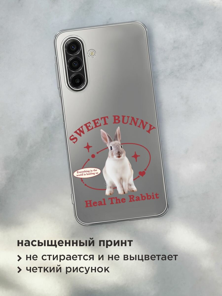 Чехол на Samsung Galaxy A17 / Самсунг А17 с принтом "Heal the rabbit", прозрачный — фото 1