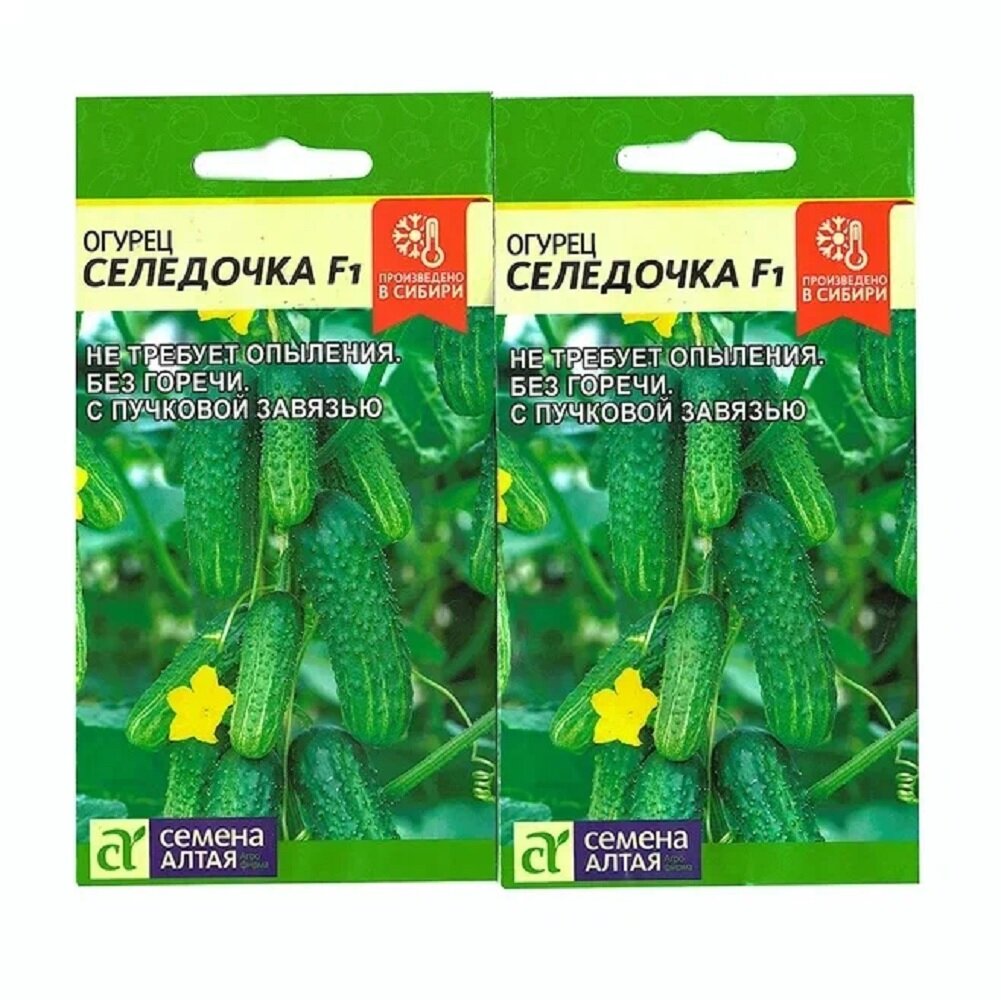 Семена Огурец Селедочка (Семена Алтая), 2 упаковки по 5 шт семян
