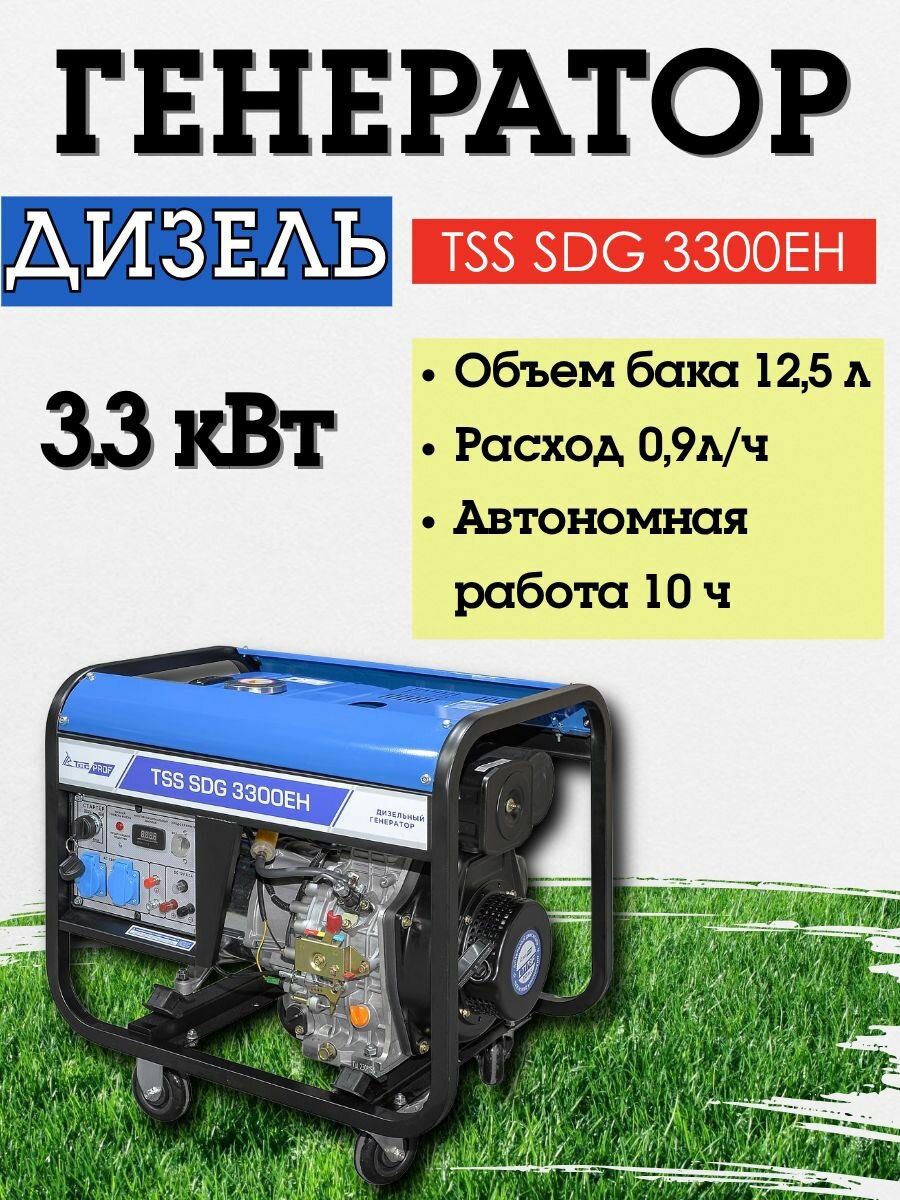 Дизель генератор TSS SDG 3300EH