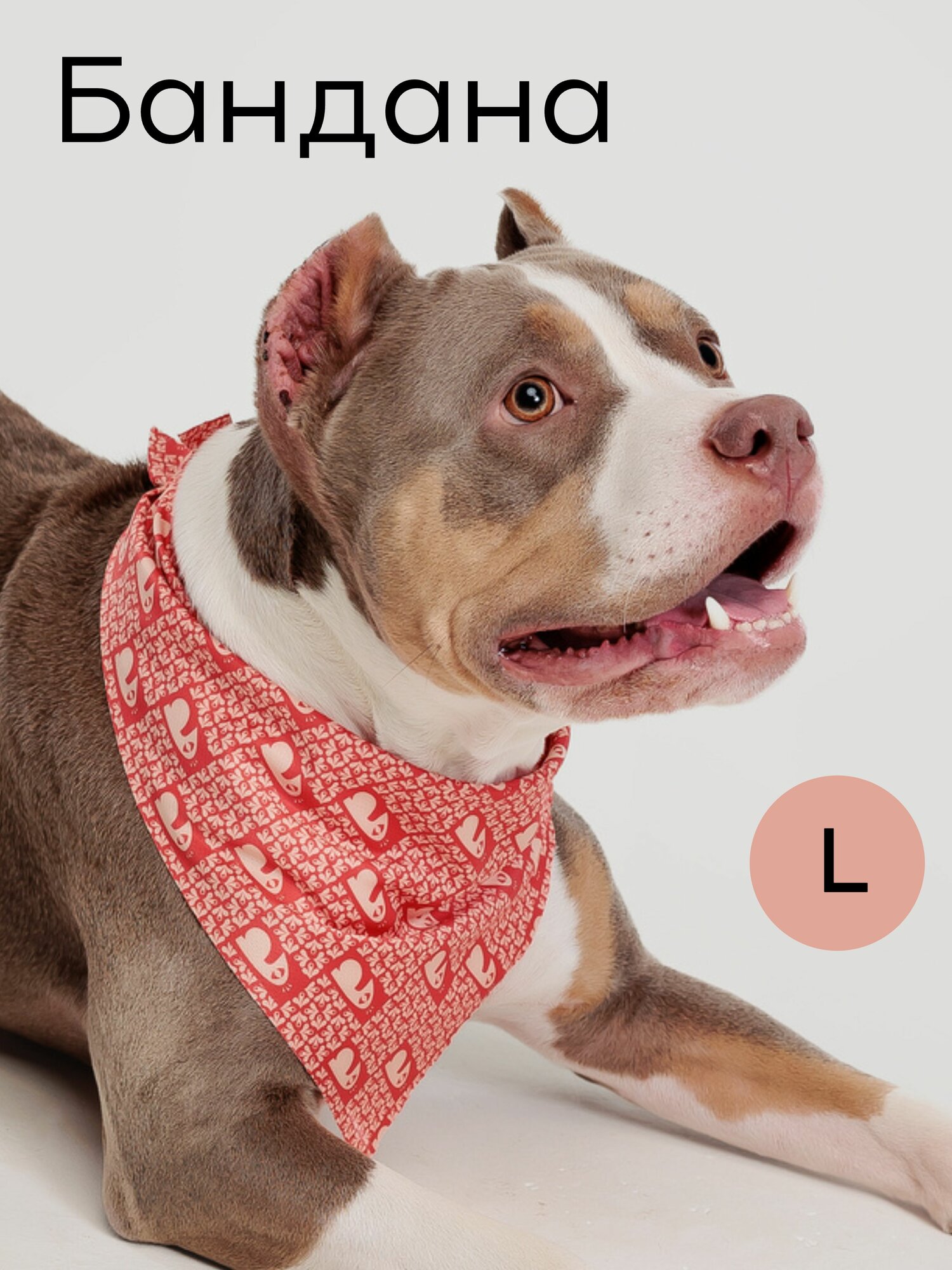 Бандана для собак и кошек, Апти, L