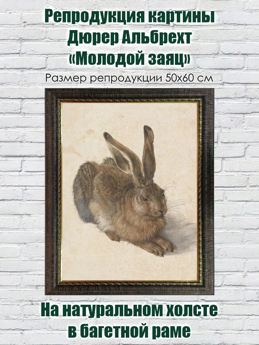 Репродукция картины Дюрер Альбрехт «Молодой заяц» в раме на натуральном холсте